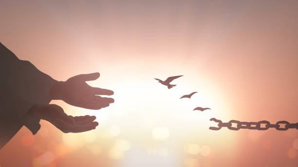 The Freedom Cycle – Let It Go