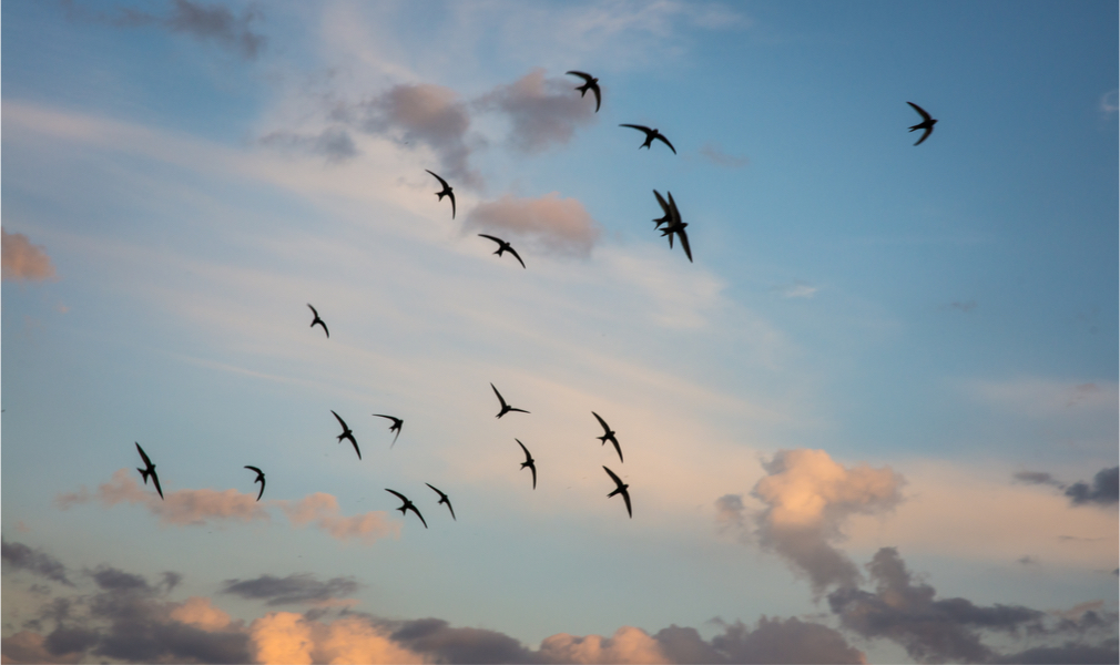 Scattered – Let It Go